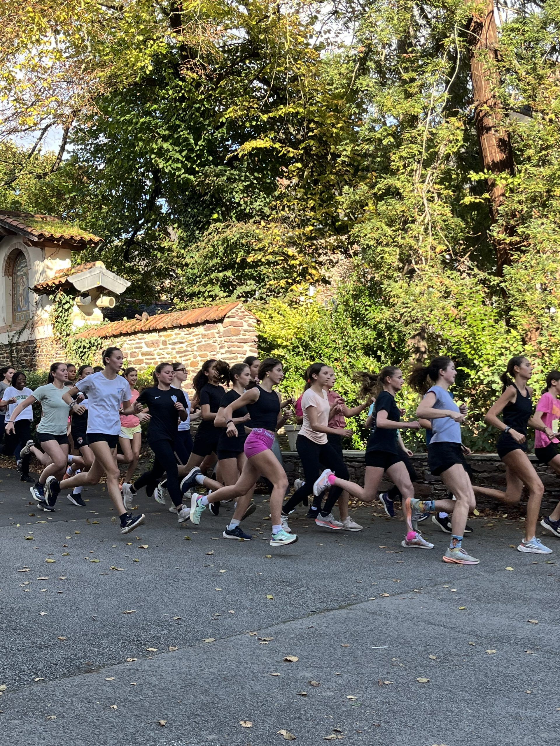 Cross de Saint-Vincent | Saint Vincent Providence